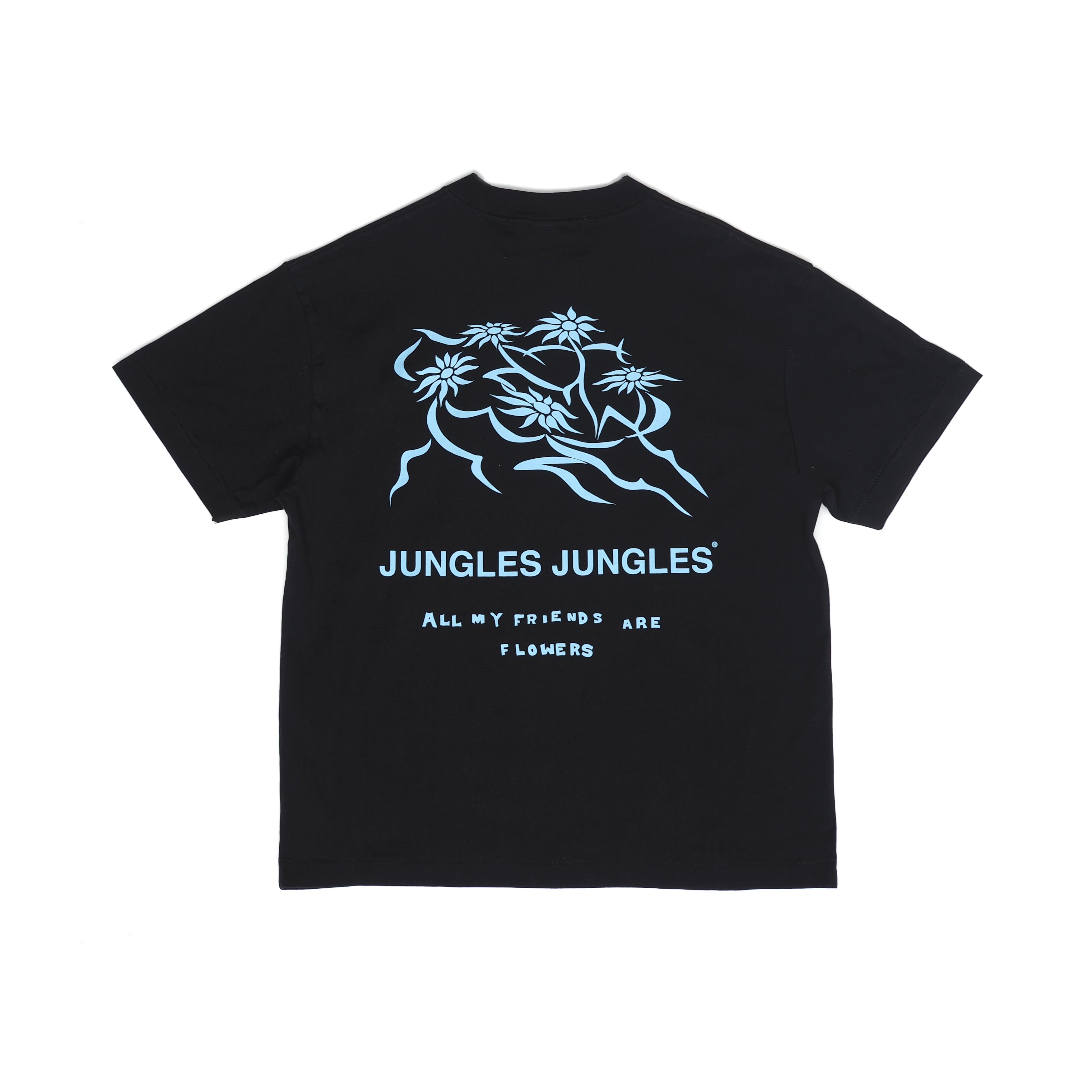 All My Friends Tee – JUNGLES